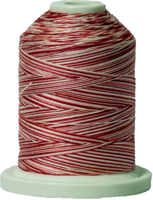 Signature Variegated Thread