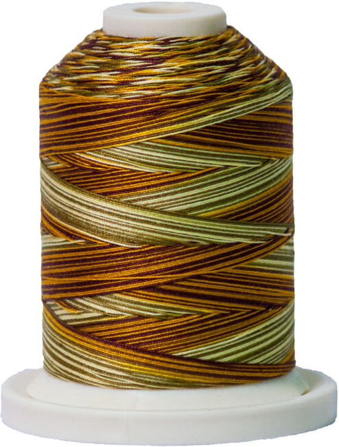 Signature Variegated Thread