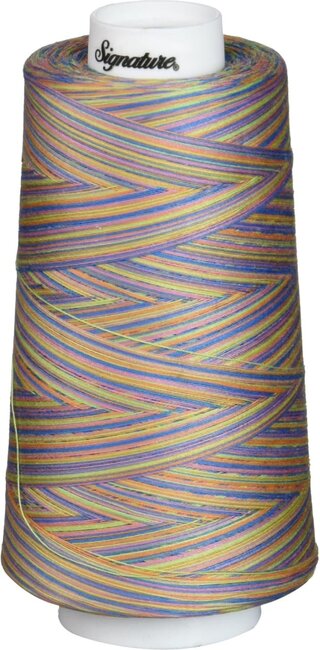 Signature Variegated Cone Thread Summery FUN - 123Stitch