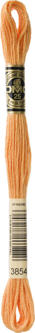 DMC 3854 Six Strand Floss - 123Stitch