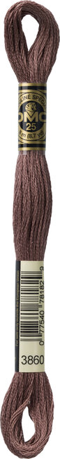 DMC 3860 Six Strand Floss - Cocoa Brown - 123Stitch