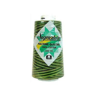 Signature Variegated Cone Thread Atlantis F251 - 123Stitch