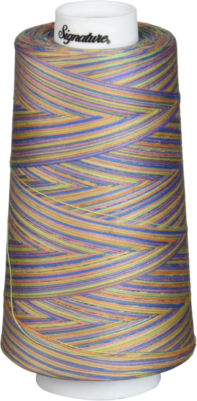 Signature Variegated Cone Thread Summery FUN - 123Stitch