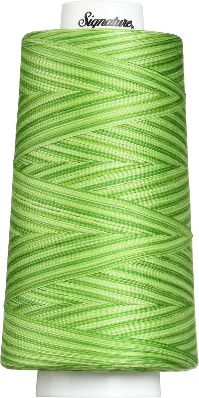 Signature Variegated Cone Thread Spring Grass Green - 123Stitch